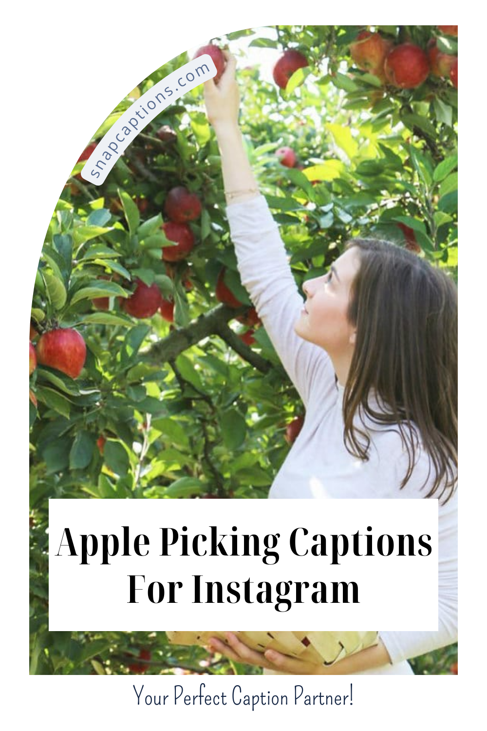 200+ Apple Picking Captions For Instagram That Shine Bright